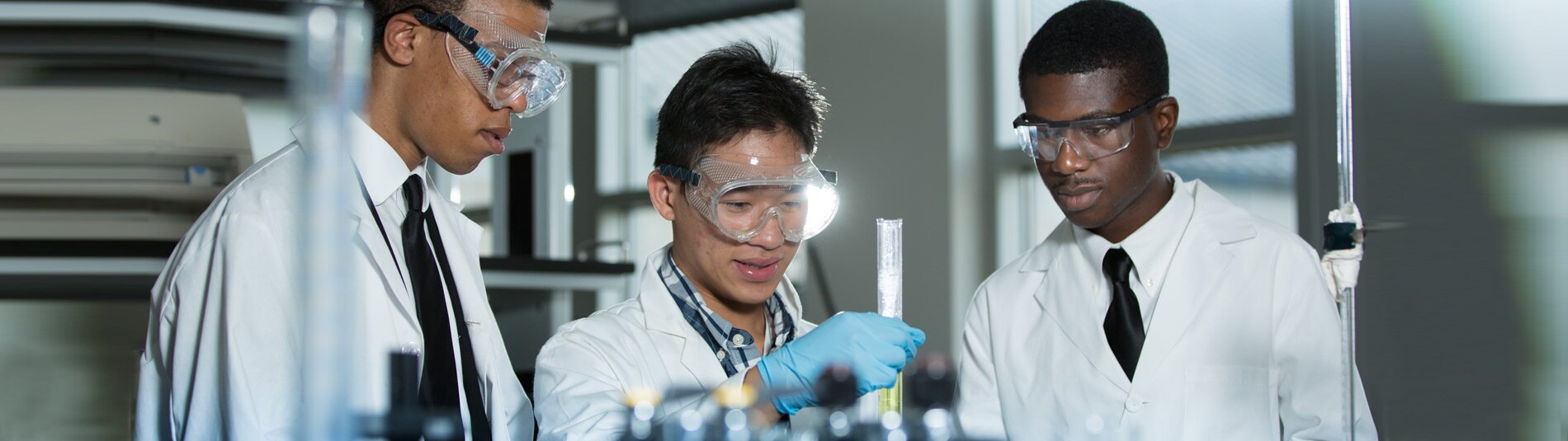 RISE – Research Initiative for Scientific Enhancement